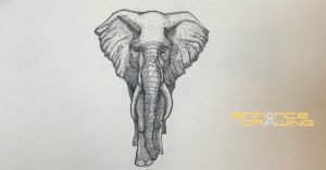 What Is Stippling In Art? A Marvelous Way To Shade – Enhance Drawing